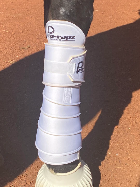 Bennett Polocrosse., Inventors of the Plastic Head Racket